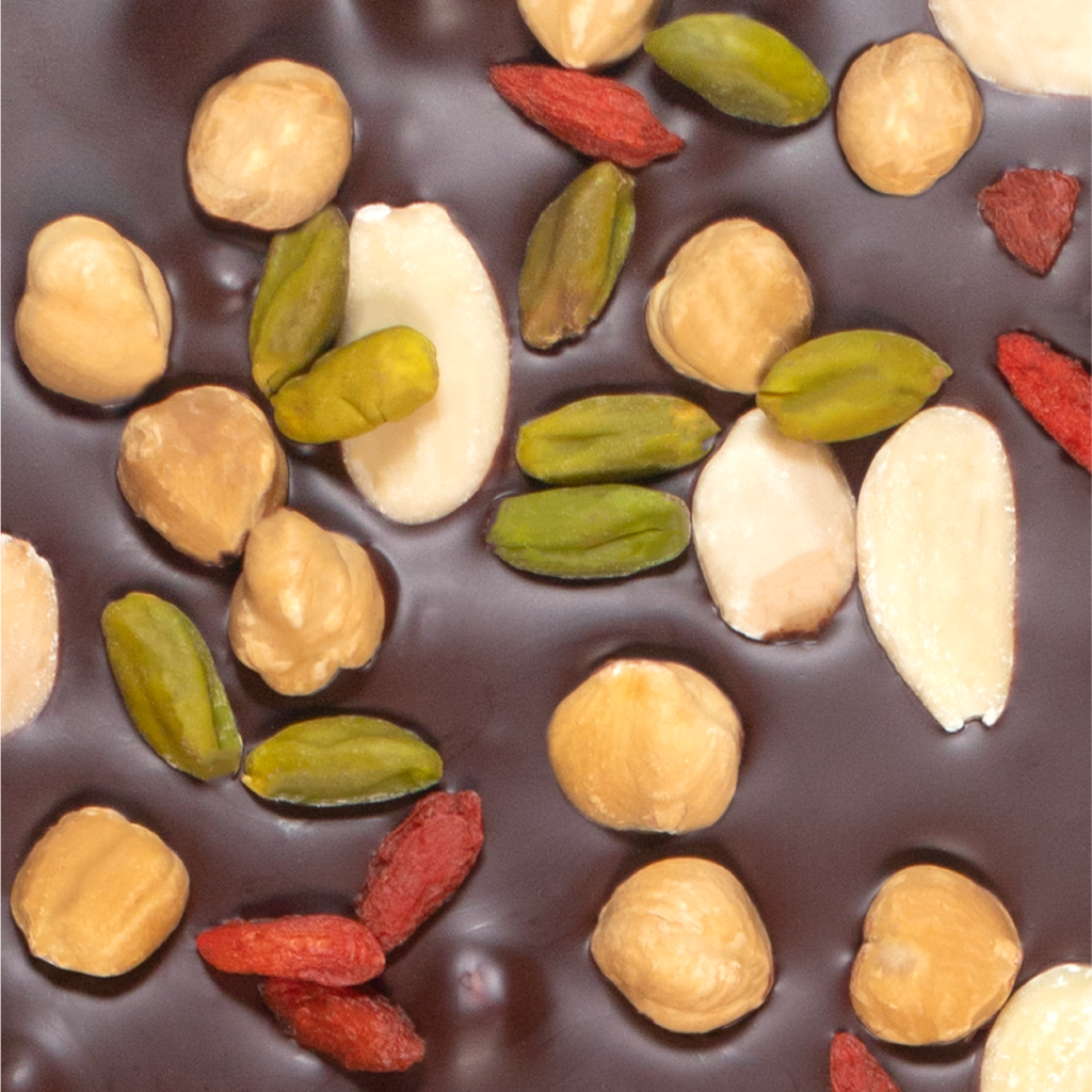 FOGLIO DARK CHOCOLATE BAR WITH DRIED FRIUTS 900g - Guido Gobino